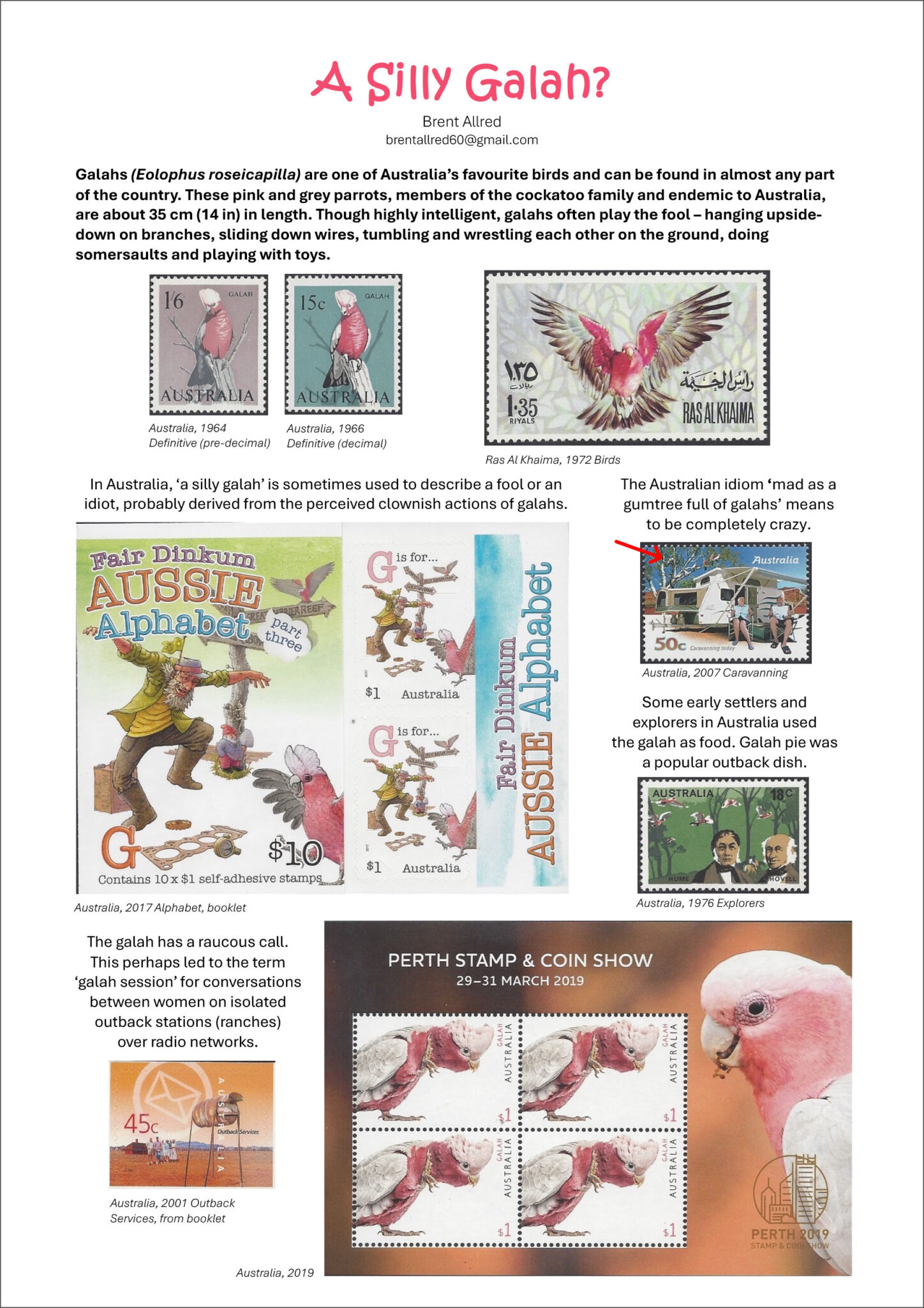 A Silly Galah? - My One Page Exhibit