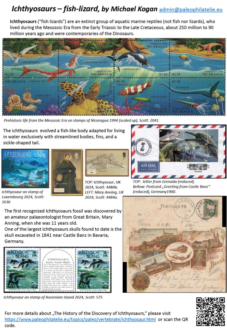 Ichthyosaurs – fish-lizard - My One Page Exhibit